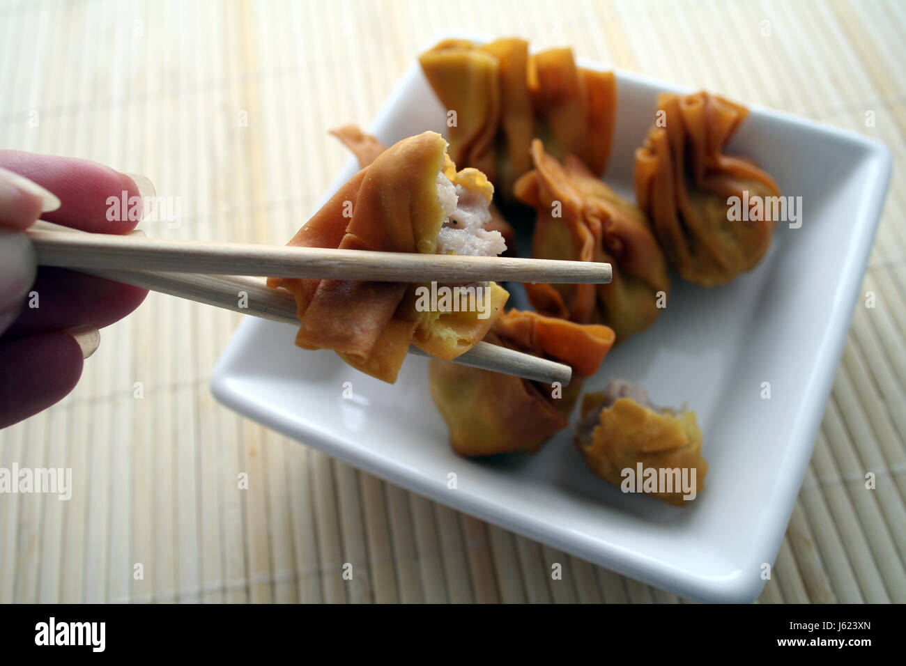 asiatic food dish meal lunch asiatic food dish meal lunch thai wantans ...