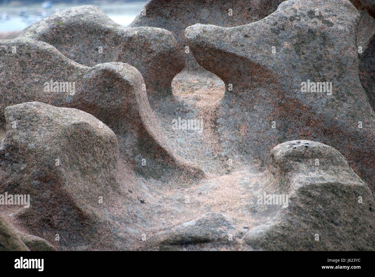 stone rock brittany granite grey gray pink flower rose plant shape ...