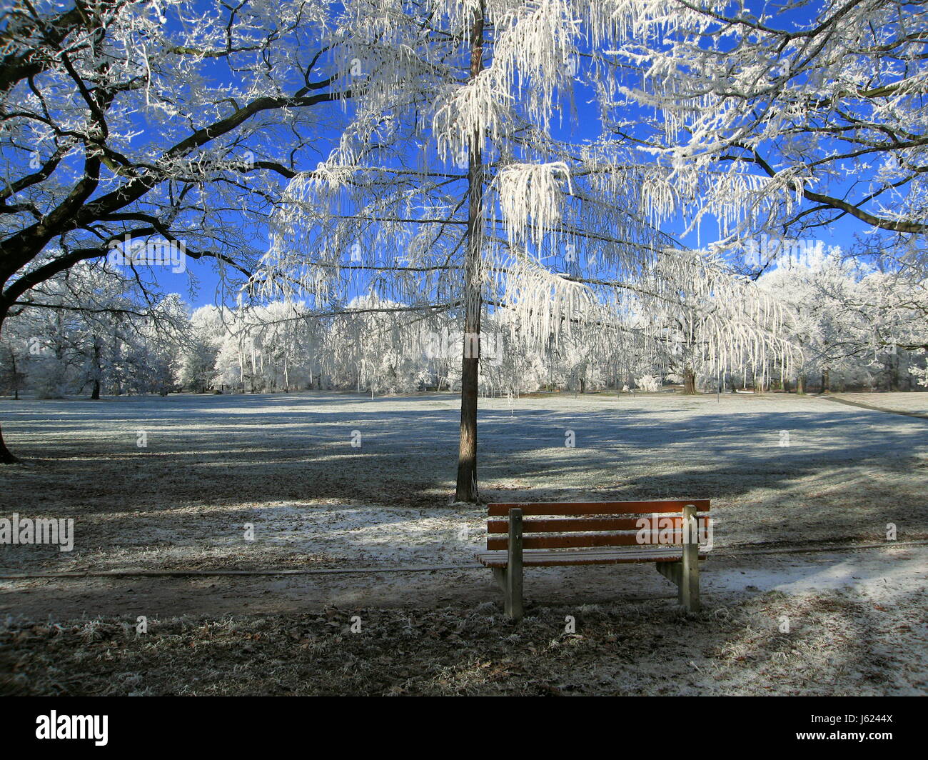 winter in the park Stock Photo - Alamy