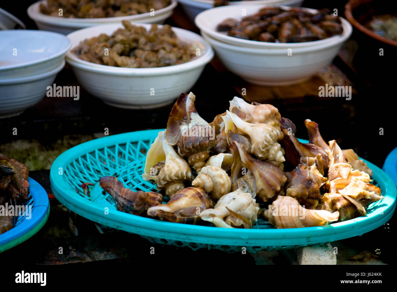 fish korea market stall weekly market marketplace flea market shells ...