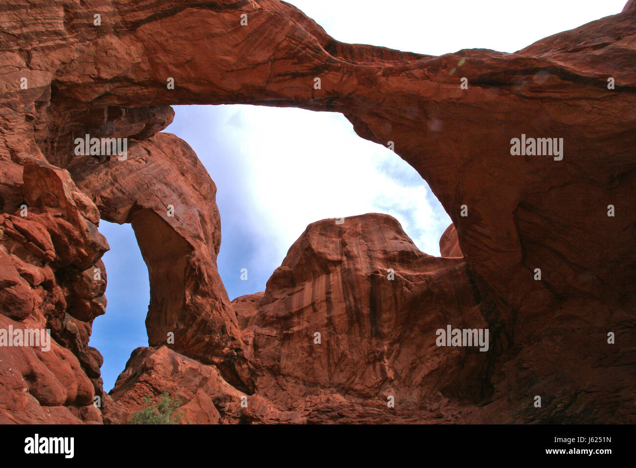 usa america double look alike look-alike big large enormous extreme ...