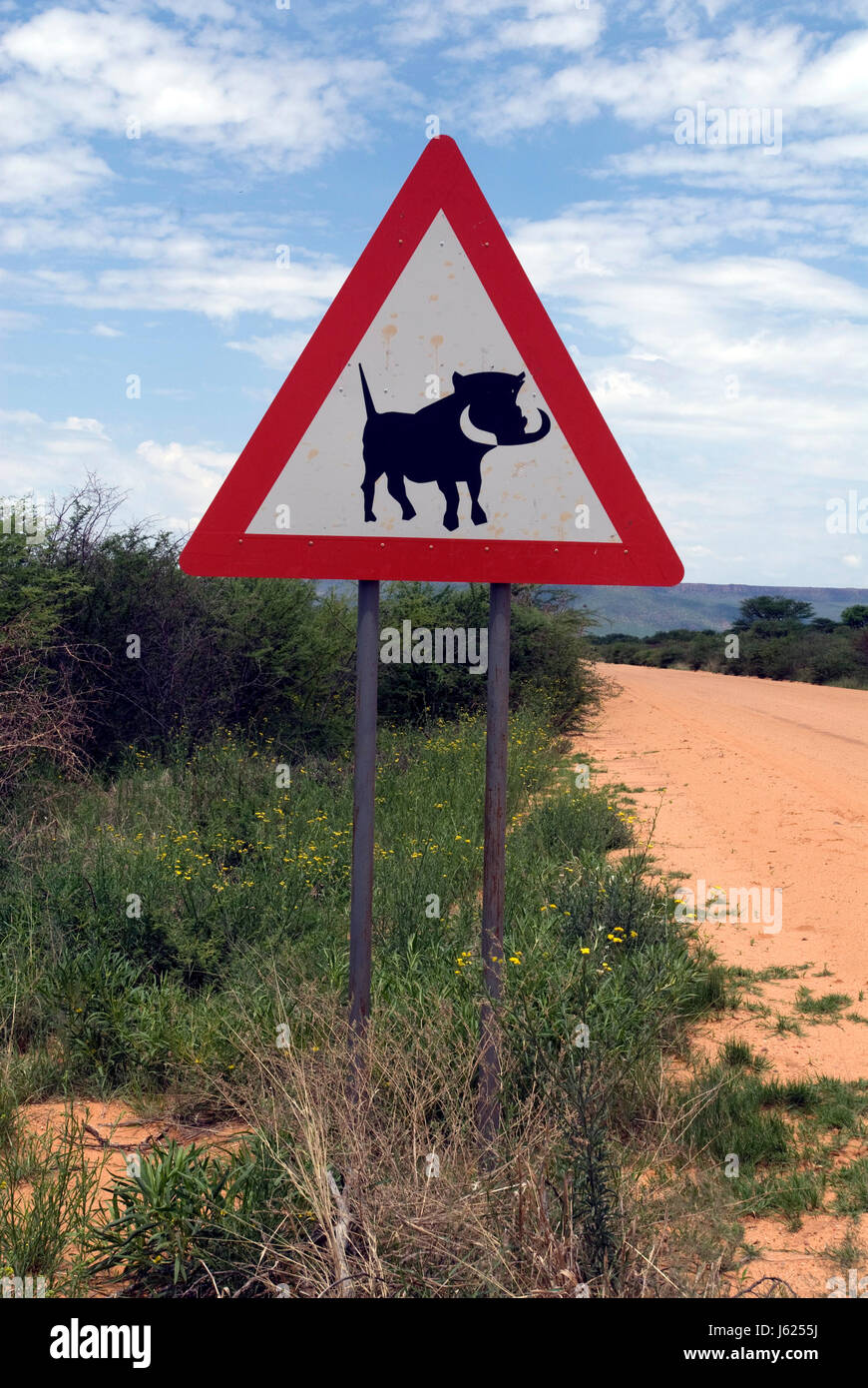 namibia traffic transportation road traffic caution wild boar pig sign ...