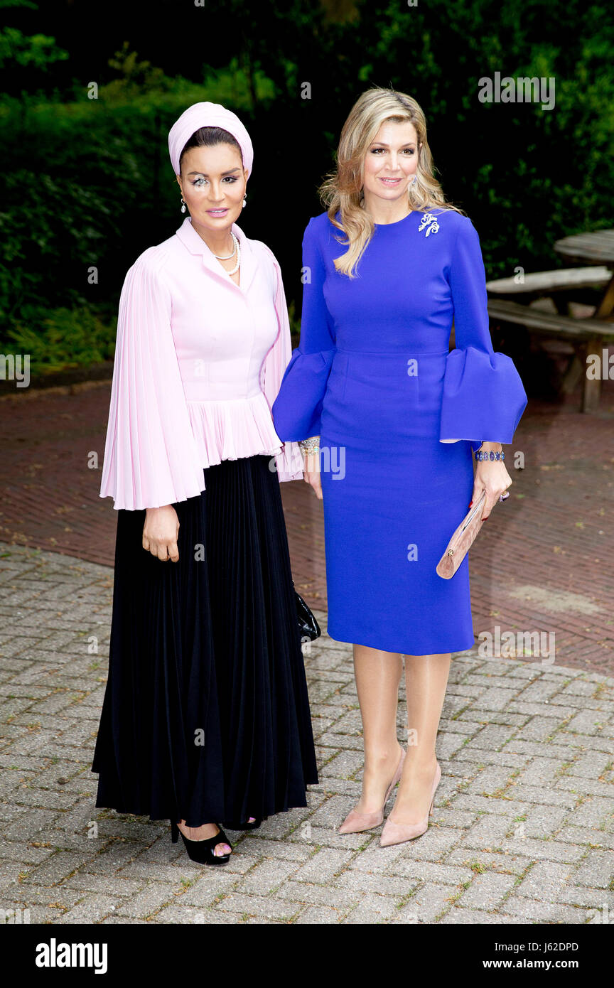 Queen Maxima of The Netherlands (R) and Sheikha Moza bint Nasser of ...