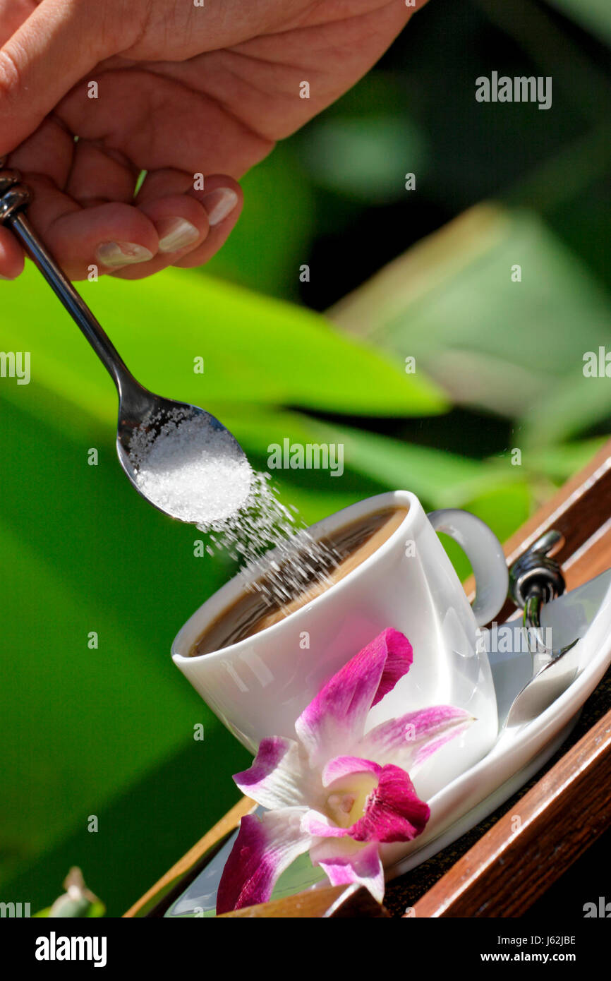 hand shine shines bright lucent light serene luminous sunny black ...