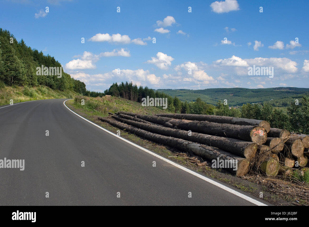 wood asphalt marking tar tree trees europe bend raw material timber ...