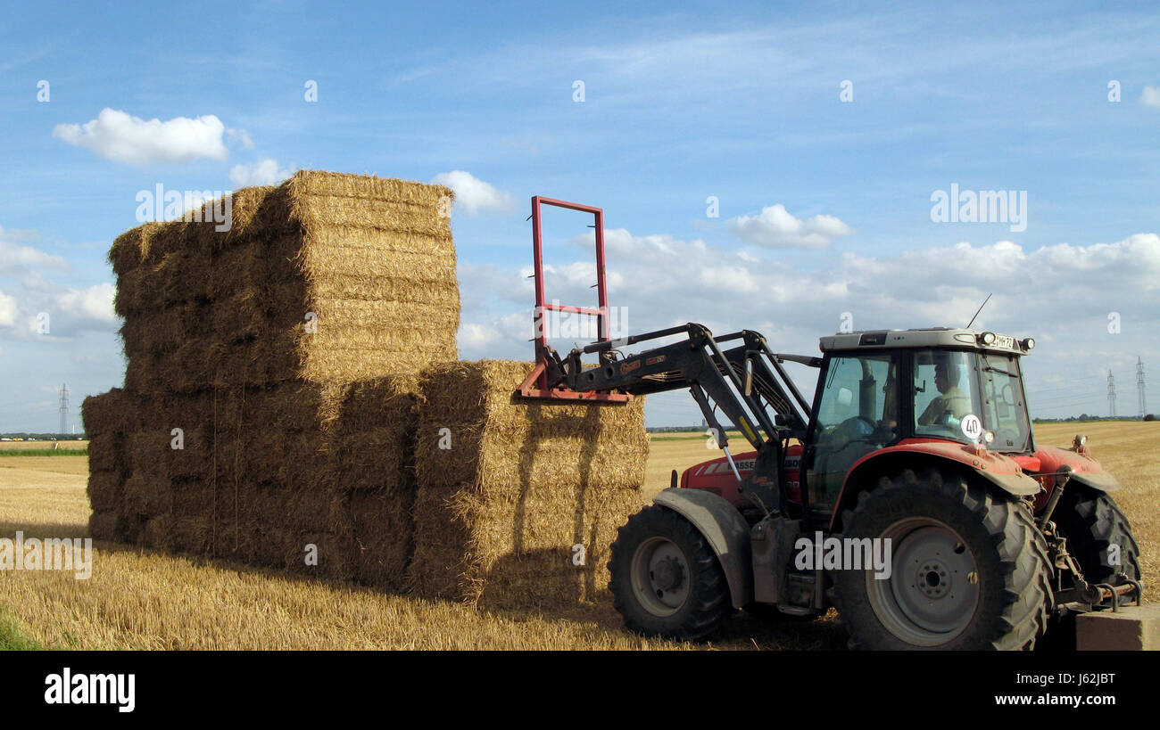 agriculture farming wheat straw tractor rank harvest field summer ...
