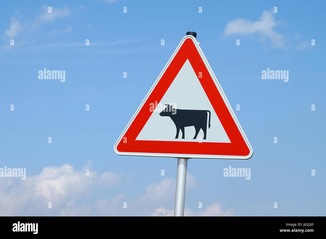 Cattle Drive Sign Stock Photos & Cattle Drive Sign Stock Images - Alamy