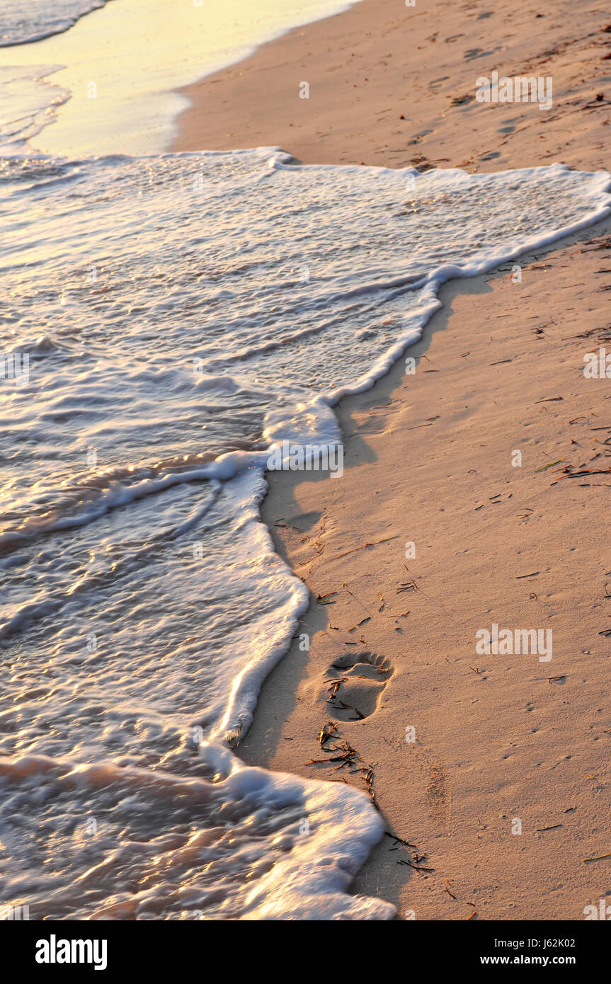 beach seaside the beach seashore waves salt water sea ocean water sands ...