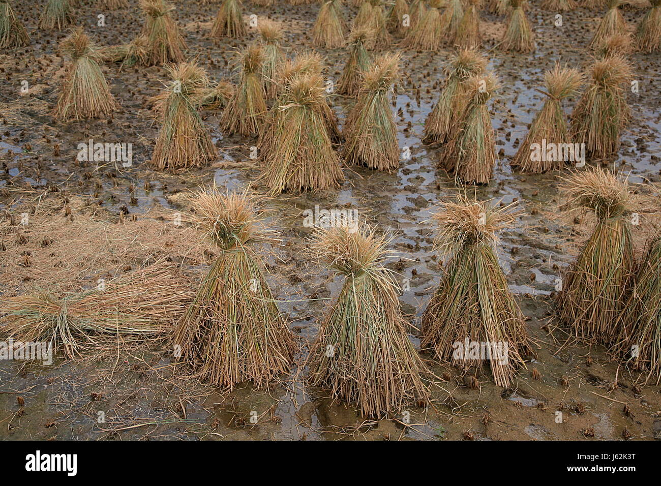 Gaotian china hi-res stock photography and images - Alamy