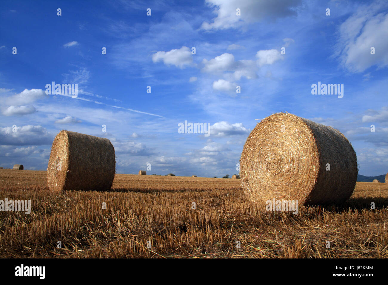 agriculture farming field grain straw ball firmament sky harvest clouds ...