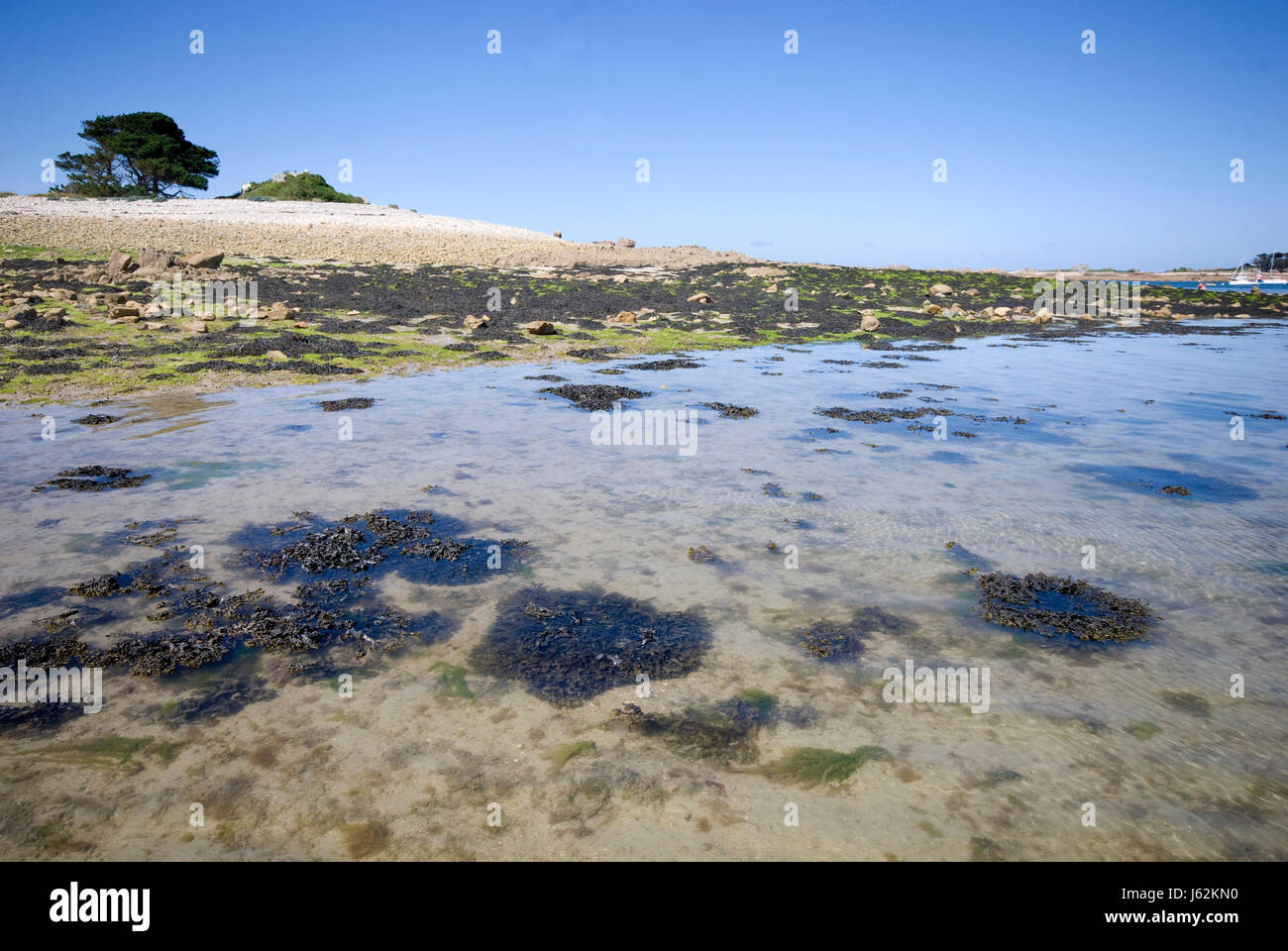 bay in brittany Stock Photo - Alamy