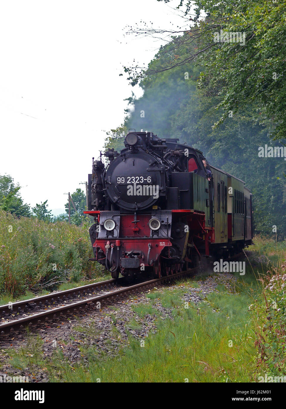 Molli schmalspurbahn hi-res stock photography and images - Alamy