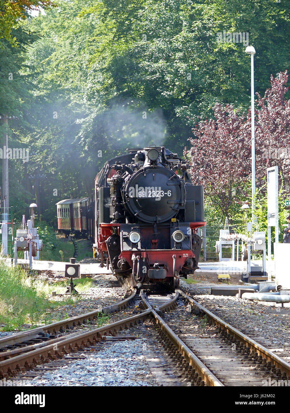 Molli schmalspurbahn hi-res stock photography and images - Alamy