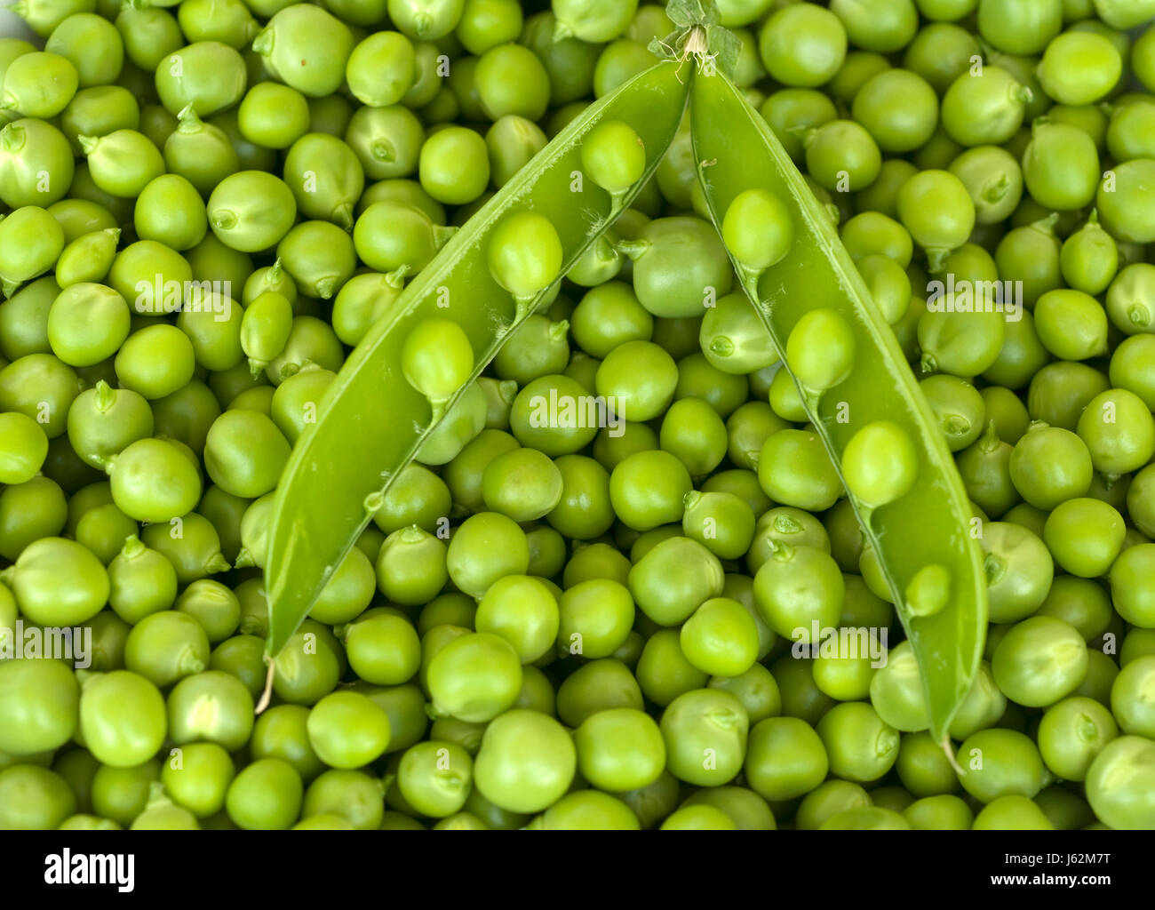 vegetable peas pea food aliment green boil cooks boiling cooking ...