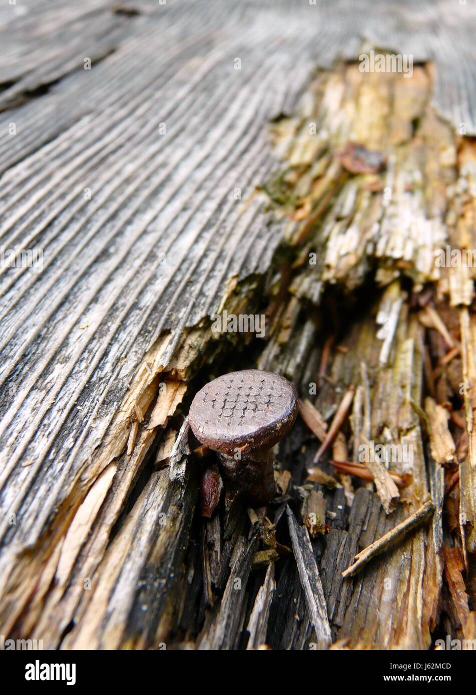 wood rusty rust nail weatherworn splinter roast nails wood plunge rusty ...