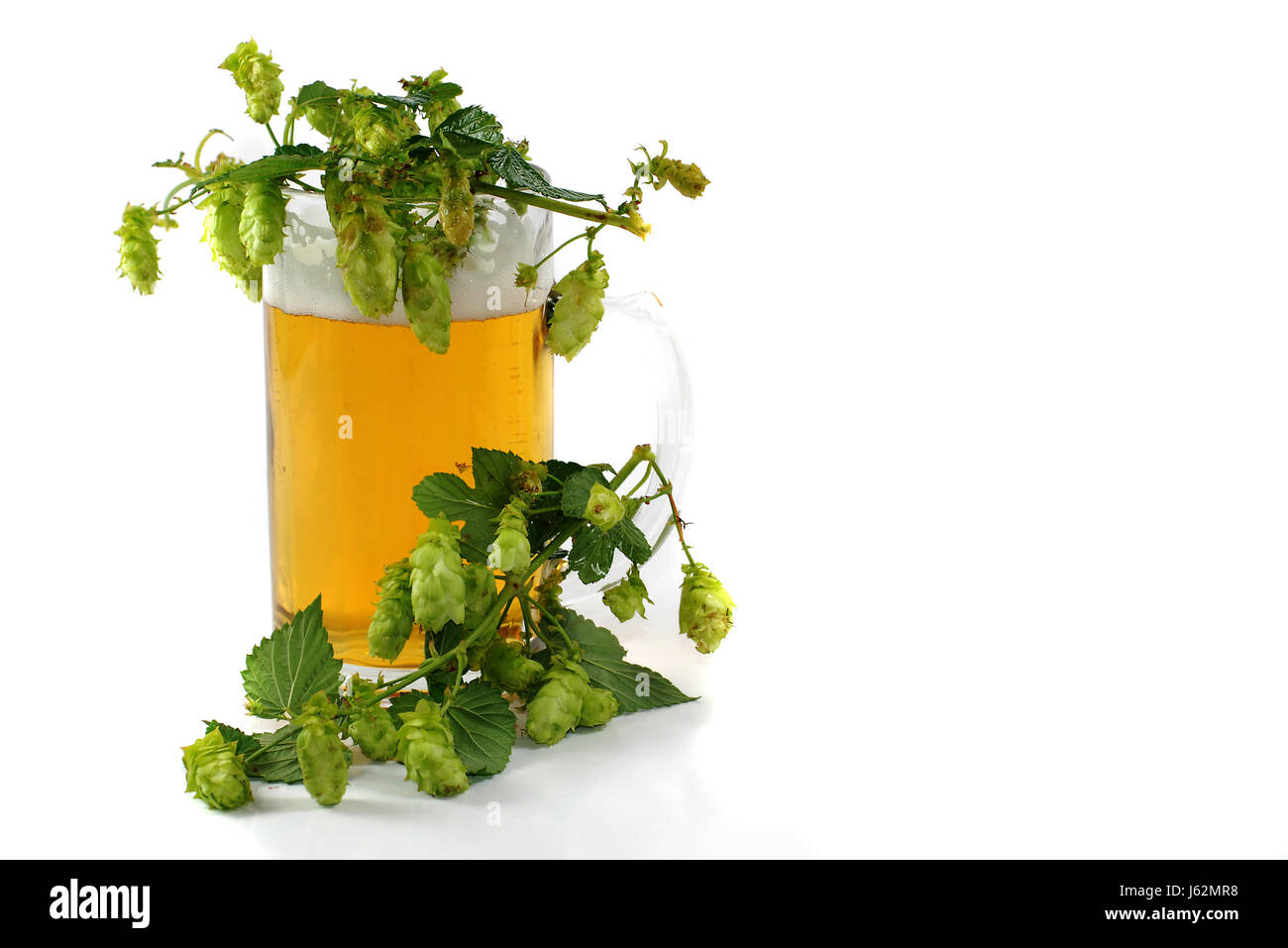 beer with hops Stock Photo - Alamy