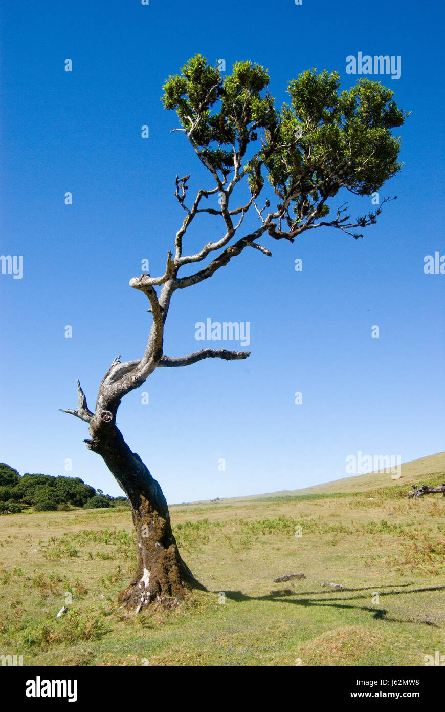 Laurazee hi-res stock photography and images - Alamy