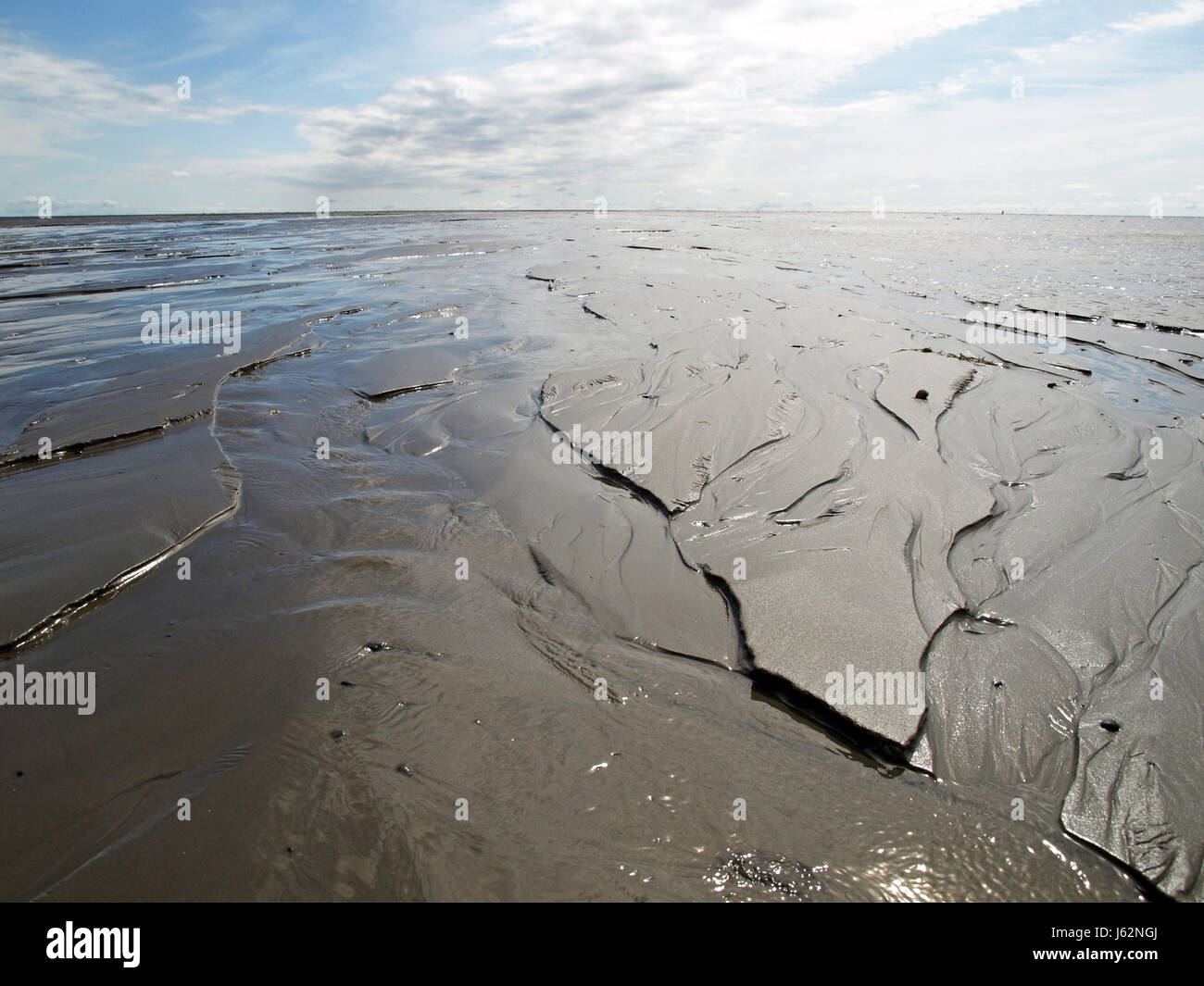 water north sea salt water sea ocean watt mud flats low tide mud worms ...