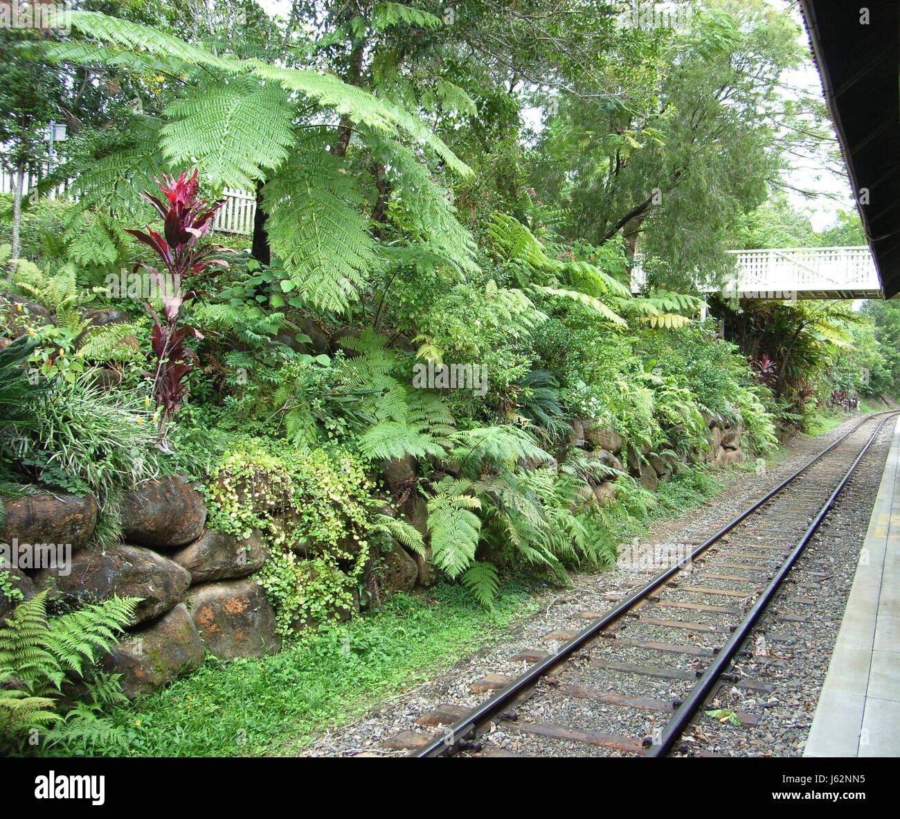 station australia emblem rainforest rain forest nature railway ...