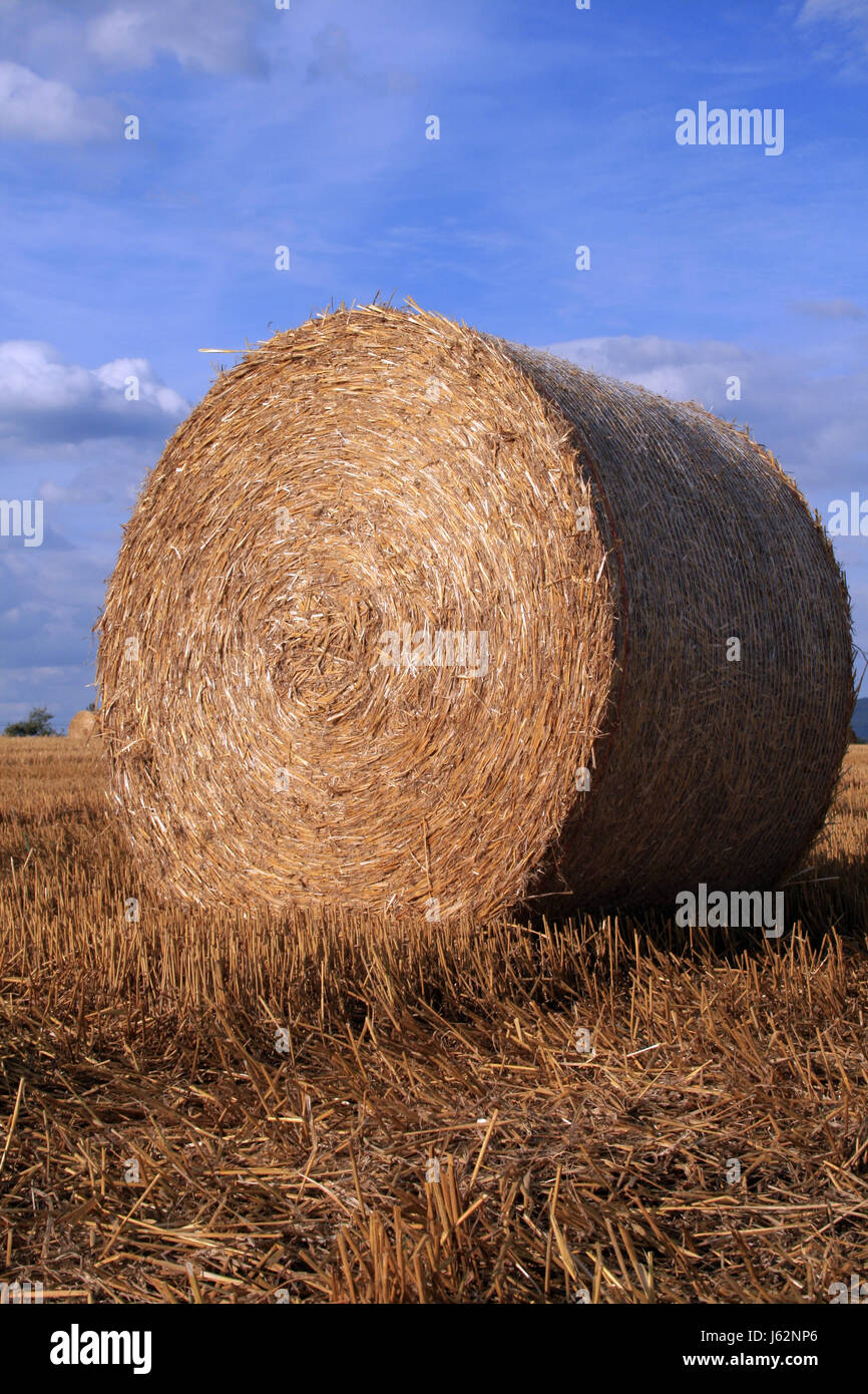 agriculture farming field grain straw ball firmament sky harvest clouds ...