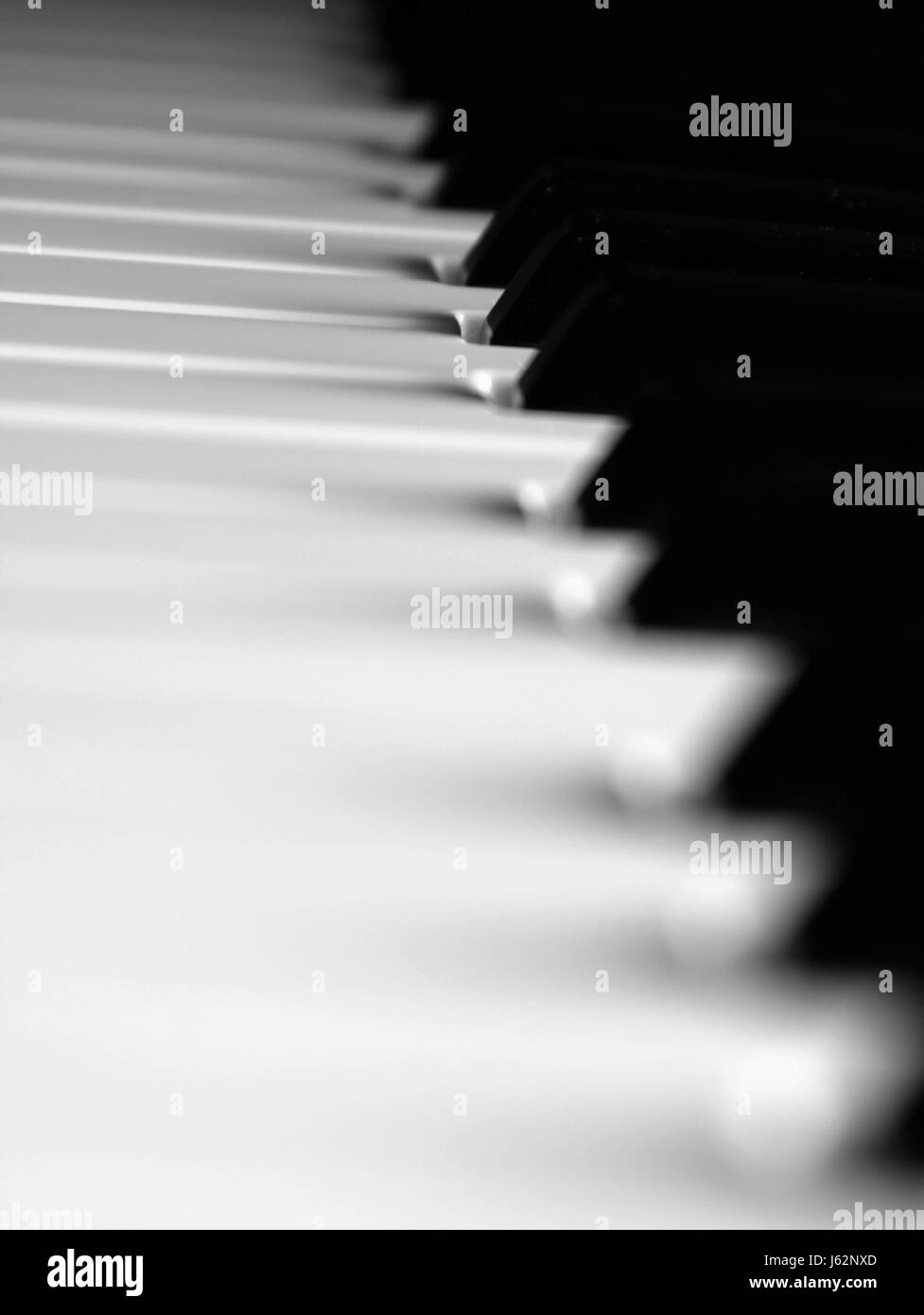 entertainment concert musical instrument act performance musician macro ...