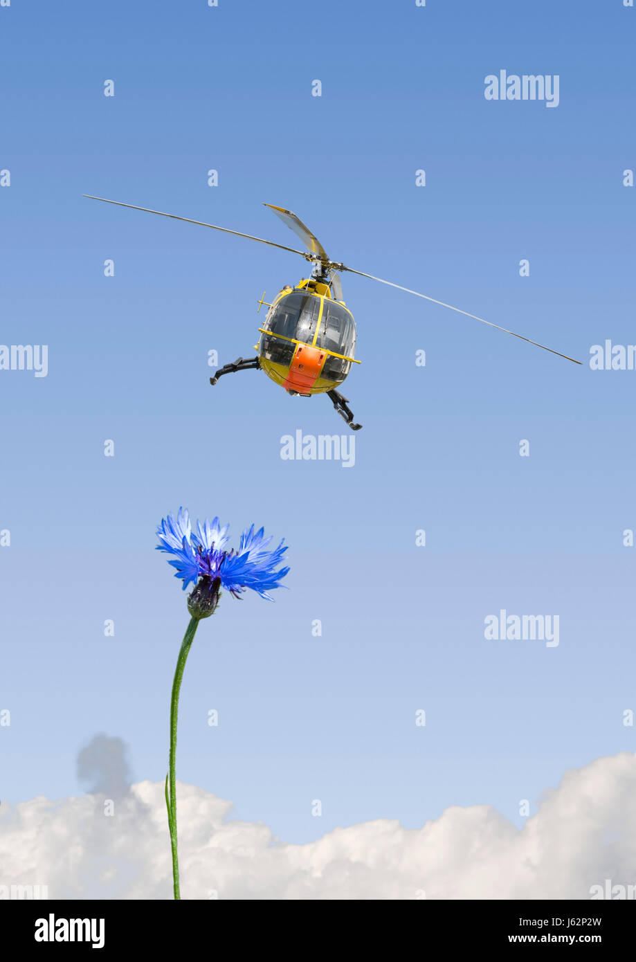 cloud helicopter cornflower blue flight flower plant green bumblebee ...