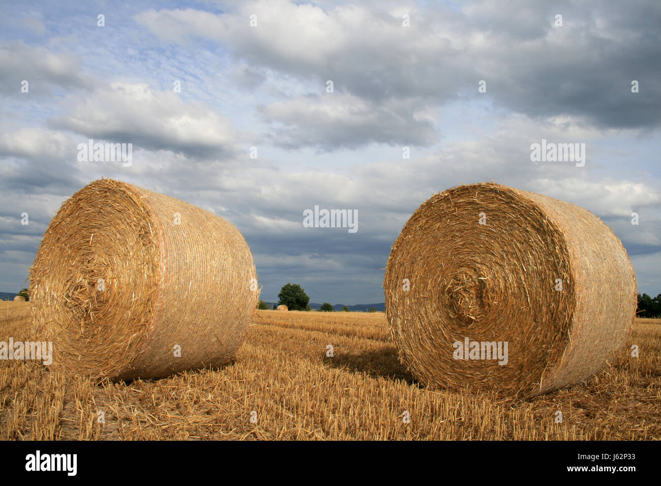 agriculture farming field grain straw ball firmament sky harvest clouds ...