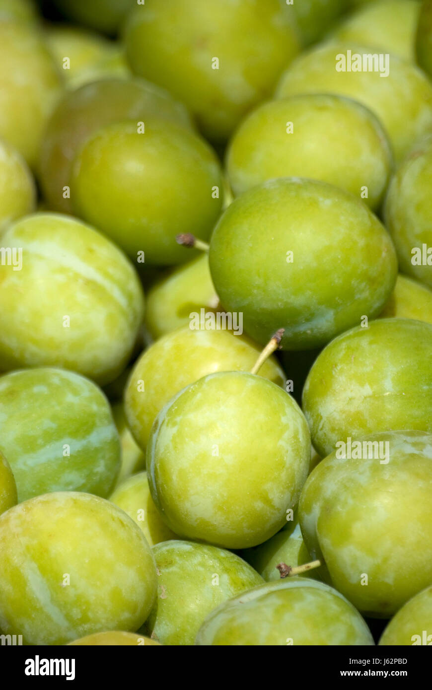 food aliment green fruit mirabelle fresh progenies fruits fruit stone ...