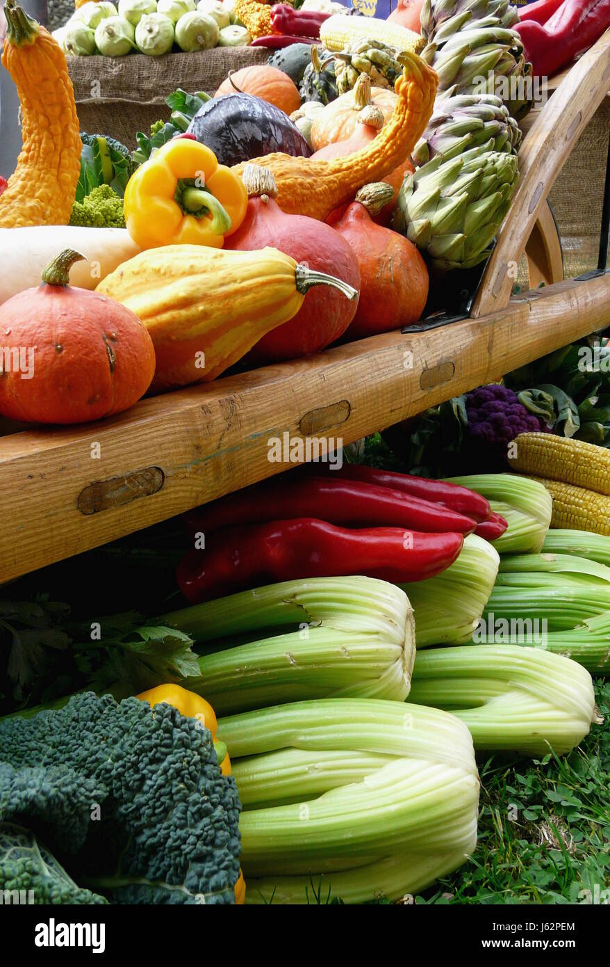 vitamins vitamines coloured colourful gorgeous multifarious richly ...