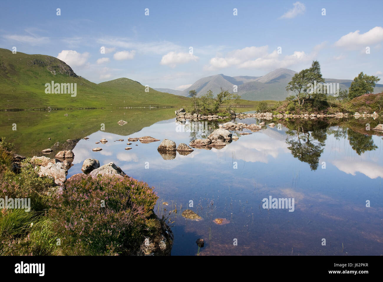 swamp fen scotland hole heath salt water sea ocean water tree trees ...