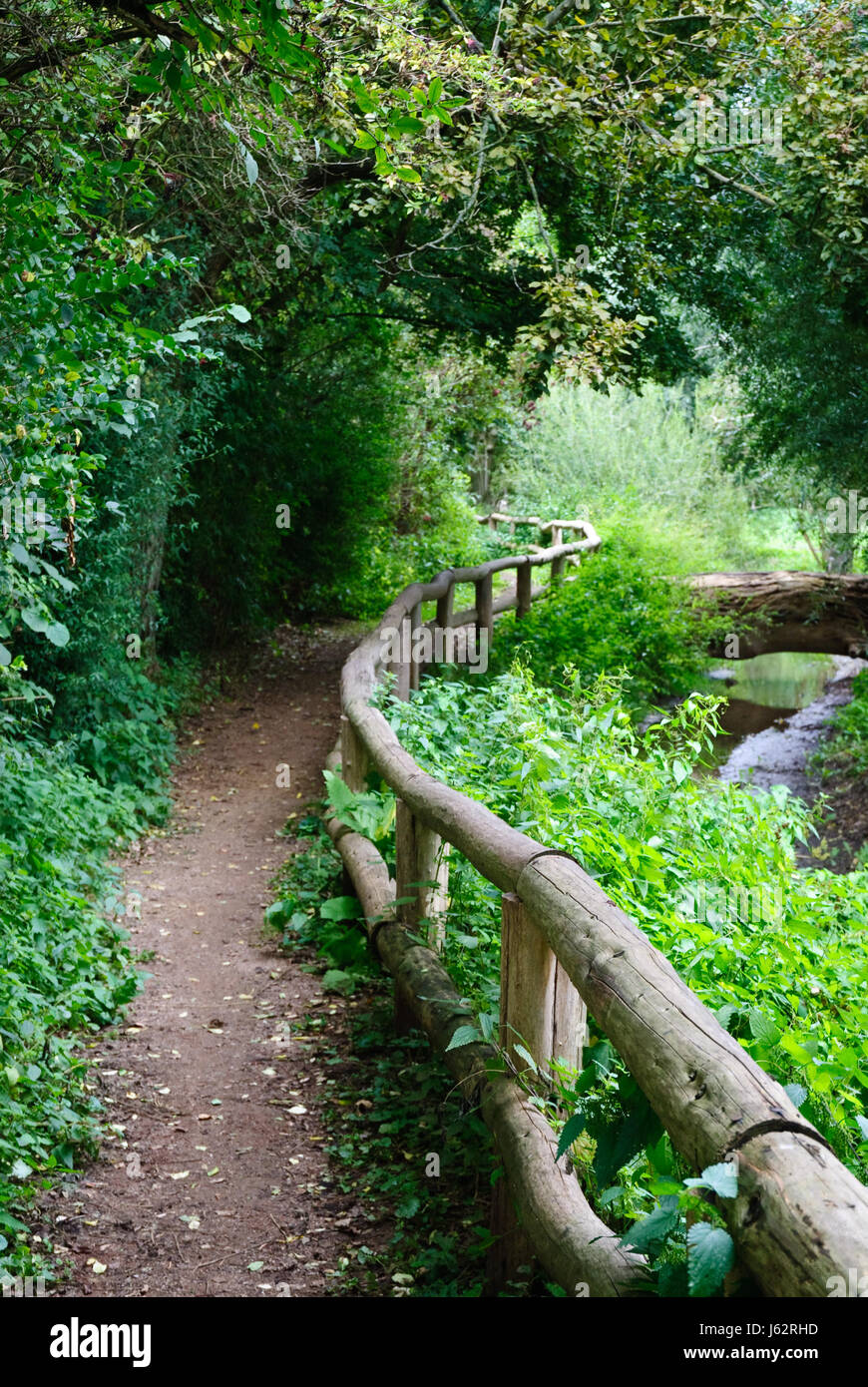 green path way forest nature park green railing portrait format path ...