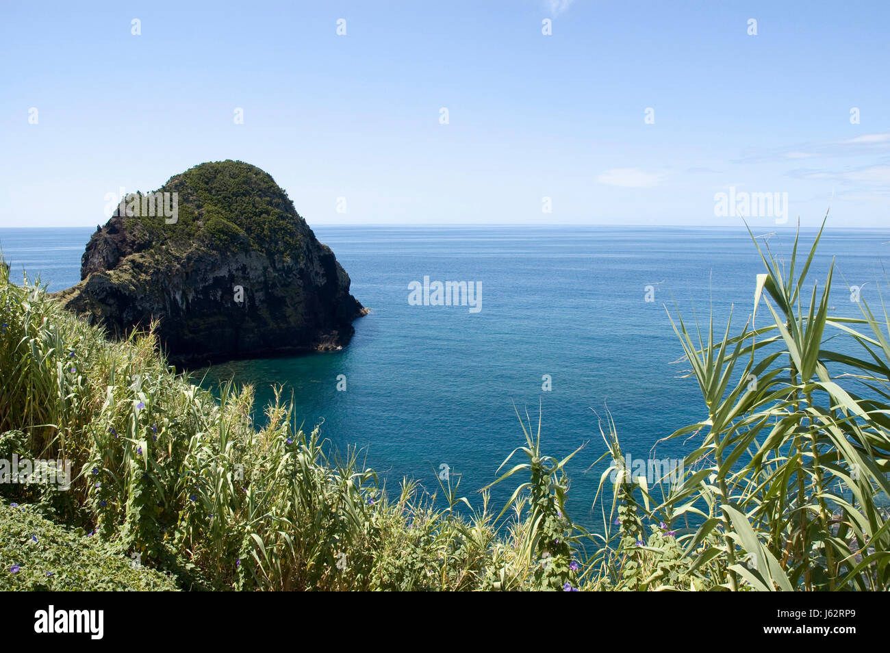 reed rock basalt azores scenic islet salt water sea ocean water shine ...