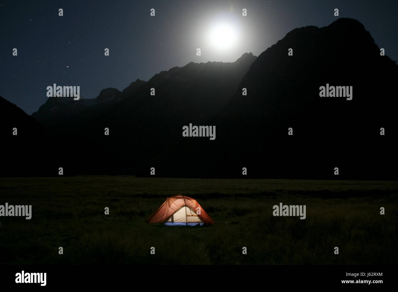 Moon light shines on tree hi-res stock photography and images - Alamy