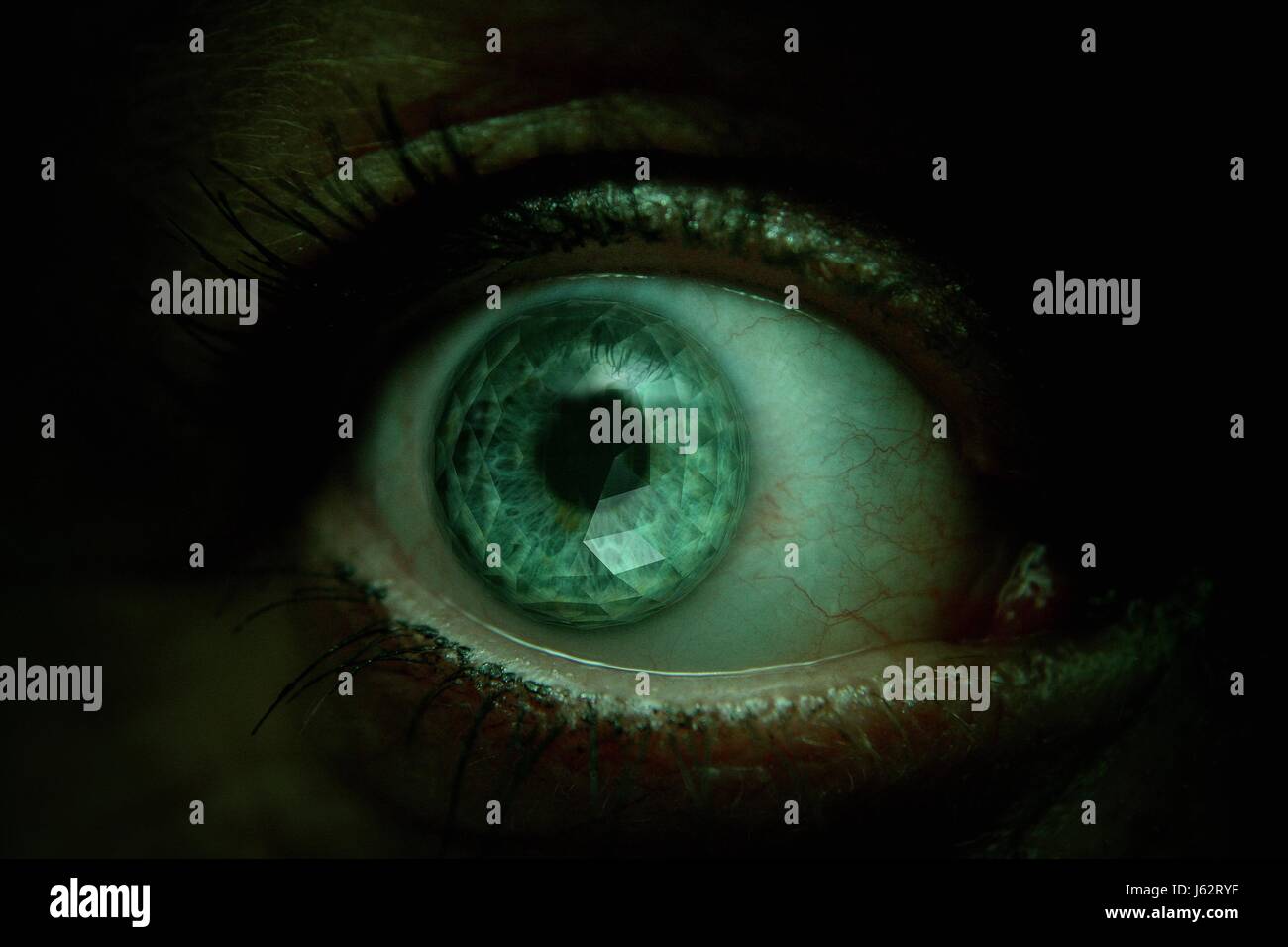 compound eye Stock Photo - Alamy