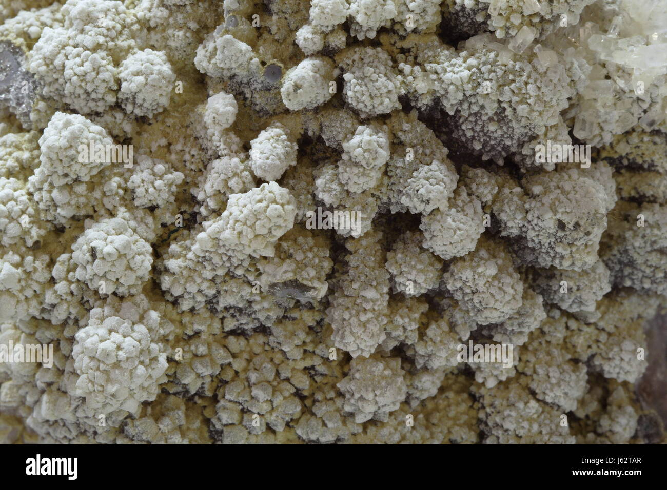 macro close-up macro admission close up view geology amulet gem object ...