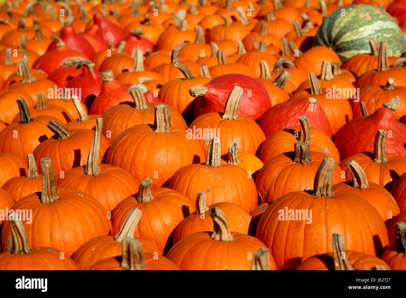out of place Stock Photo - Alamy