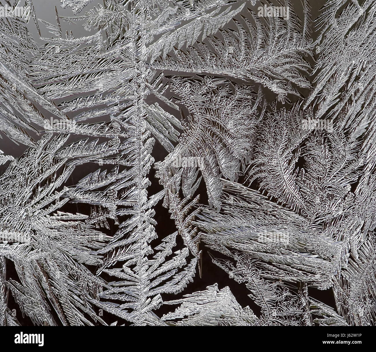 winter flower plant frost weather pictogram symbol pictograph trade ...
