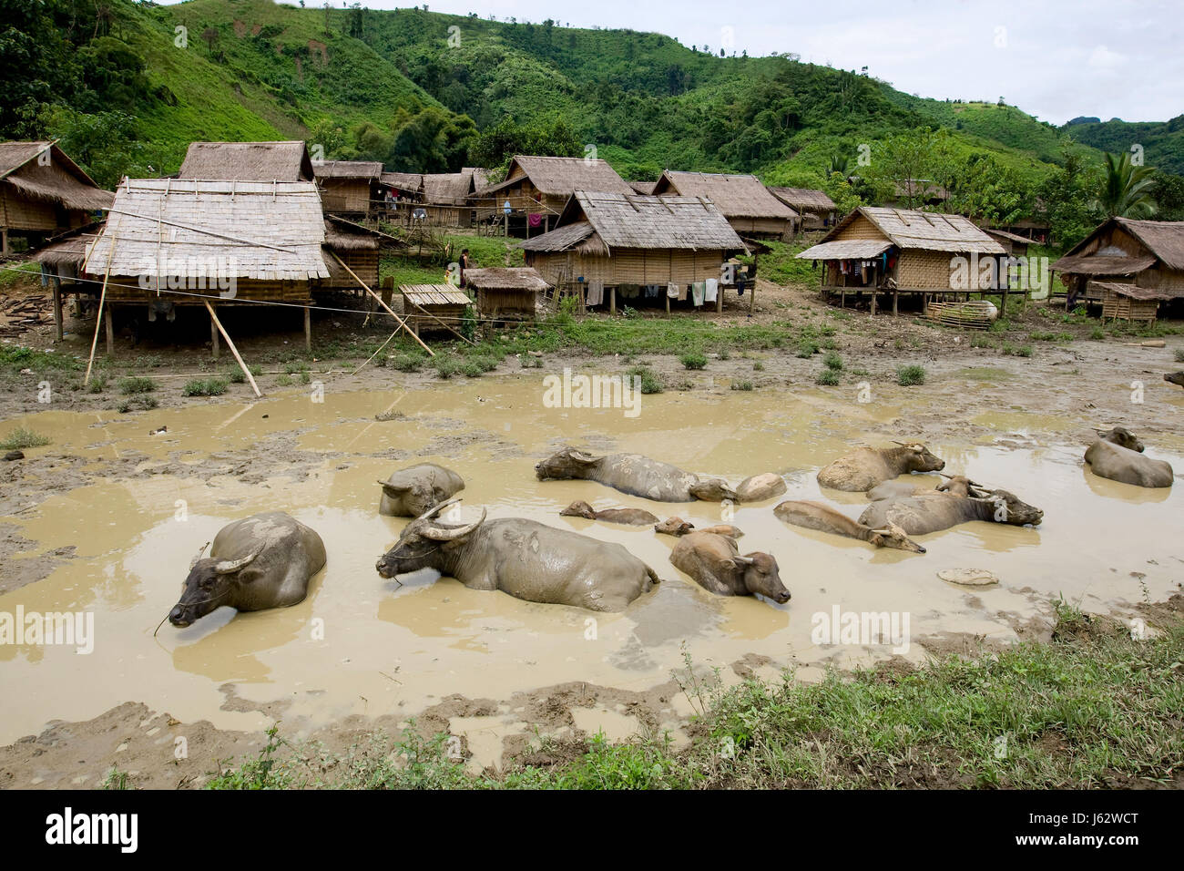 Impoverished population hi-res stock photography and images - Alamy