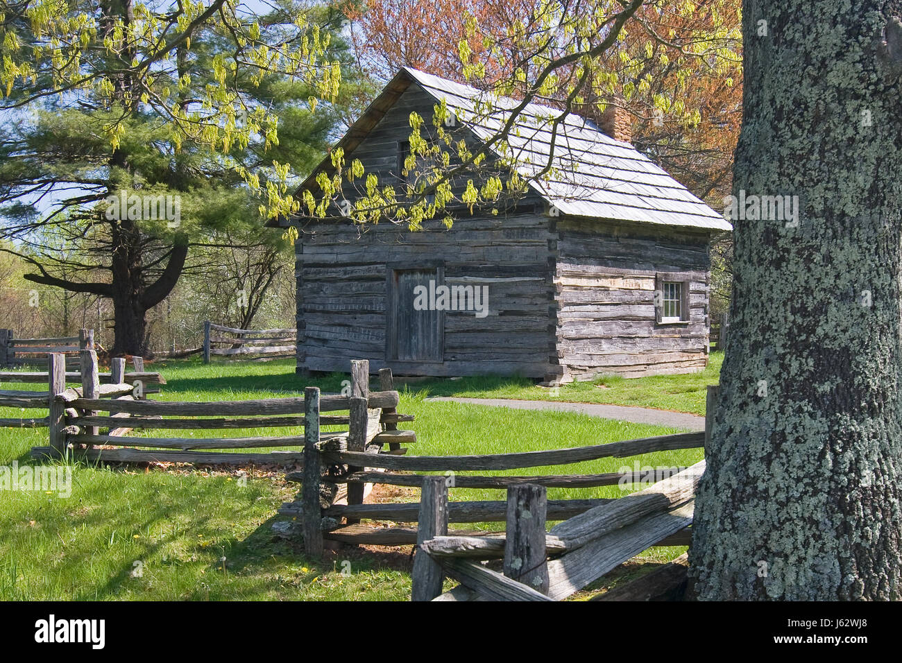 tree country cabin rustical rustic wooden weathered rural peasant house ...