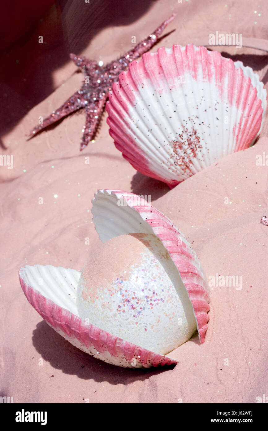 Pink Pearl Clam