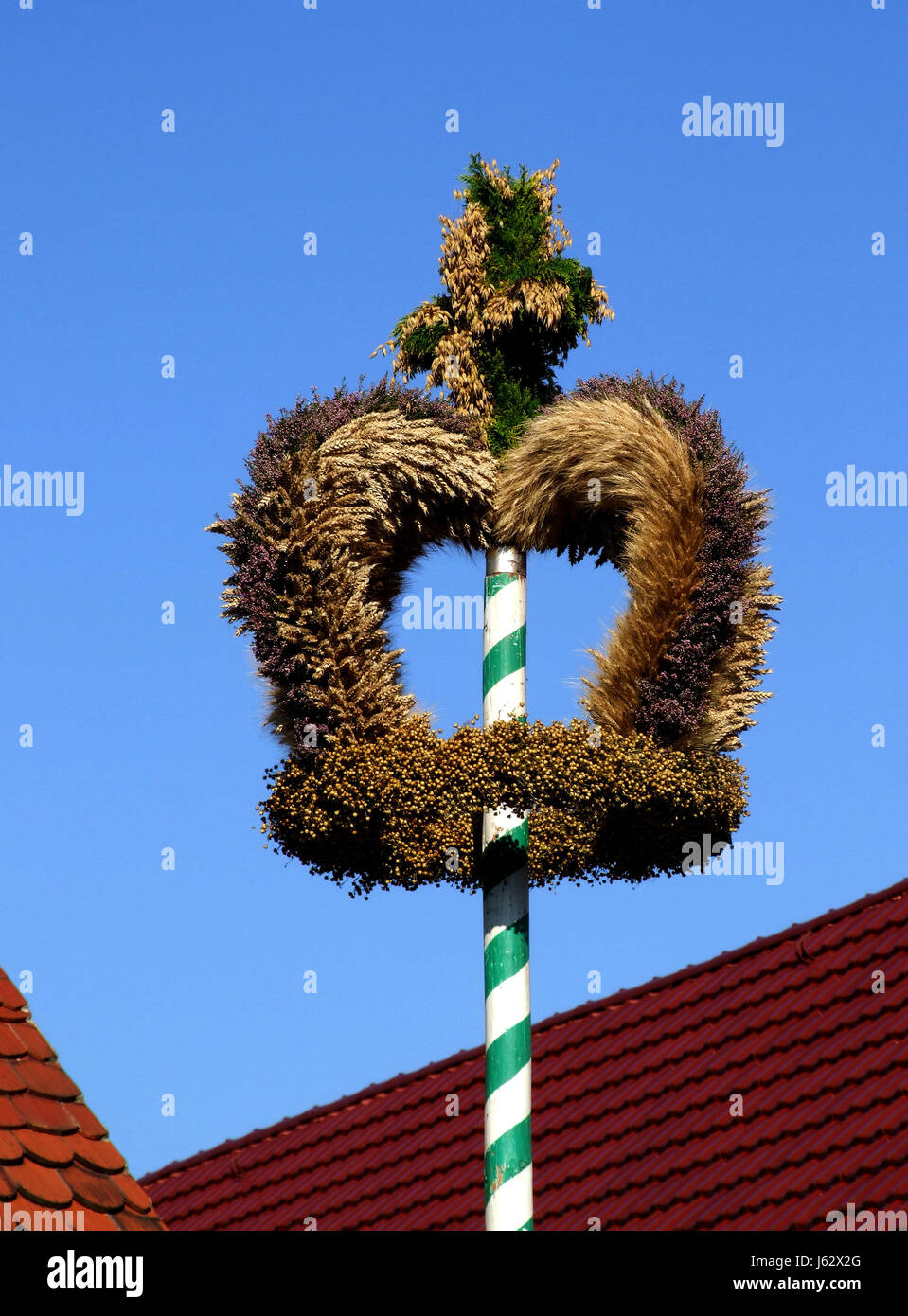 Crown flax hi-res stock photography and images - Alamy