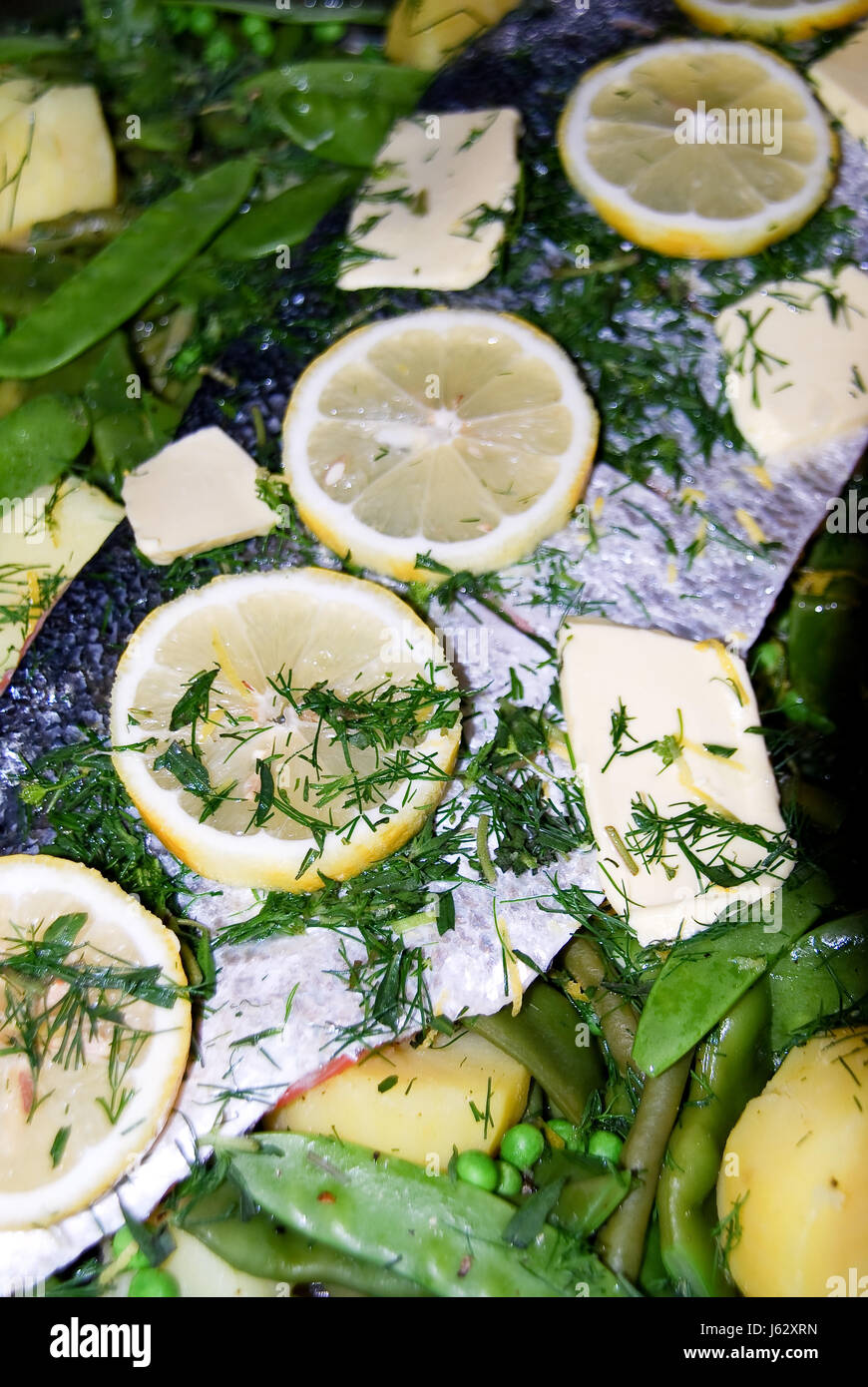 fish 080808 1 Stock Photo - Alamy