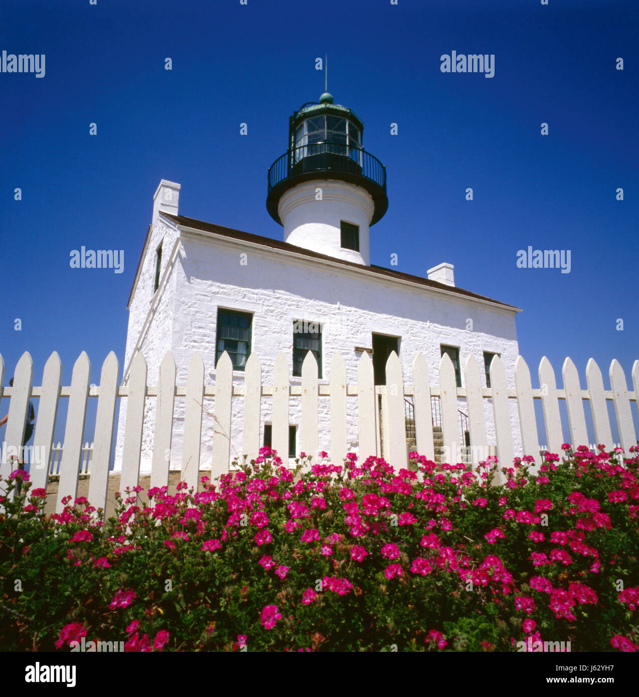 historical flower flowers plant lighthouse historical flower flowers ...