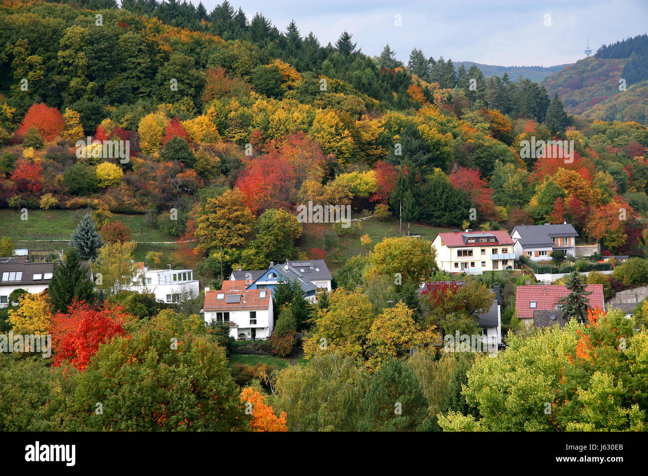 houses tree trees forest fall autumn houses tree trees mountains plant ...
