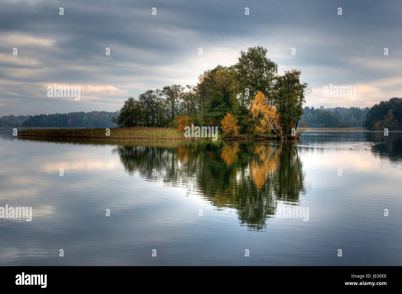Faded green trees hi-res stock photography and images - Alamy