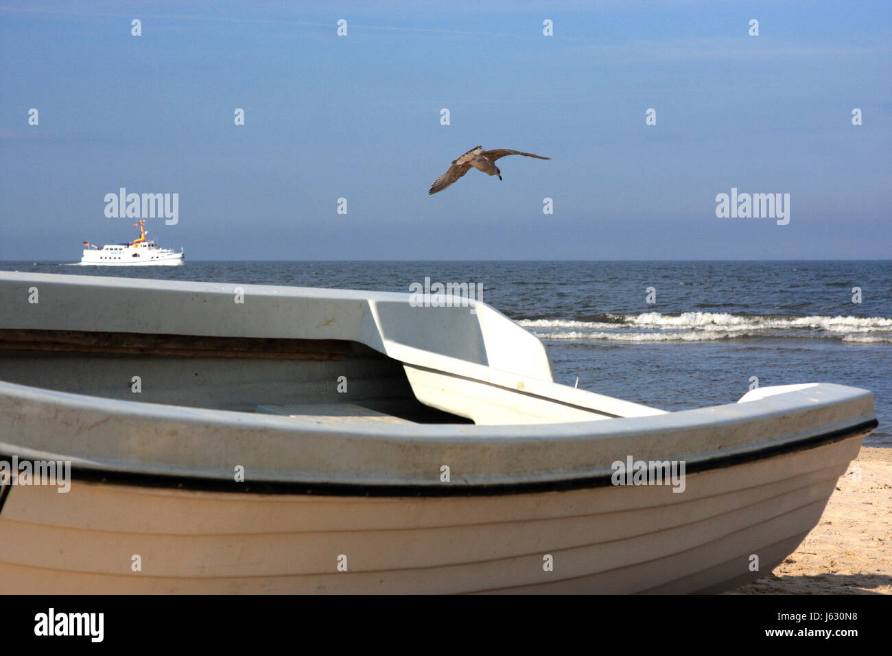 flight waves firmament sky salt water sea ocean water unclouded ...