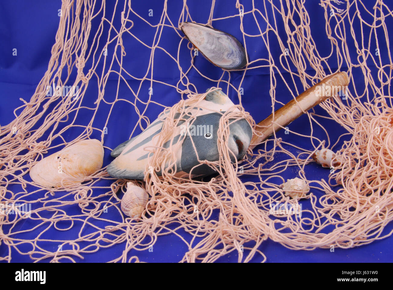 blue object studio photography fish caged fishing net shells mussels ...
