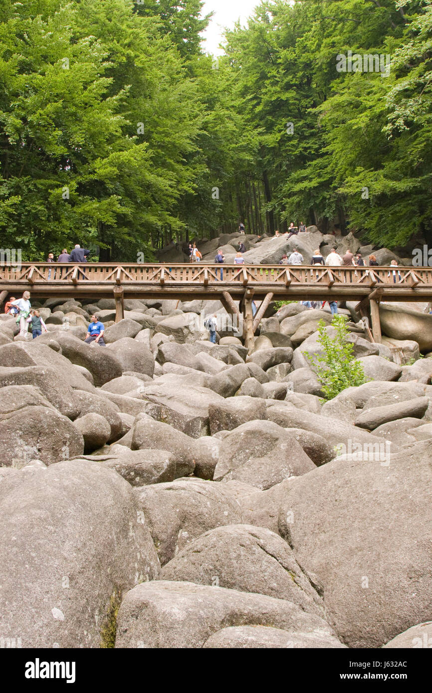 humans human beings people folk persons human human being tree bridge ...