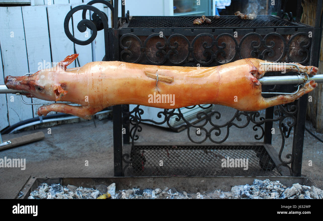 grill barbecue barbeque charcoal piglet grilled juicy sucking-pig ...