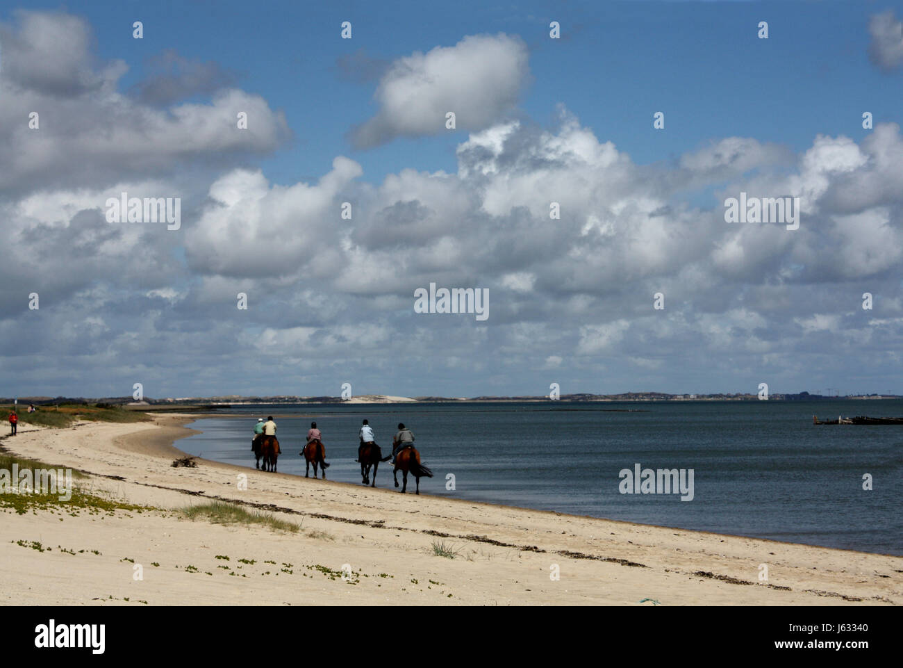 ride beach seaside the beach seashore horse horses rider equestrian ...